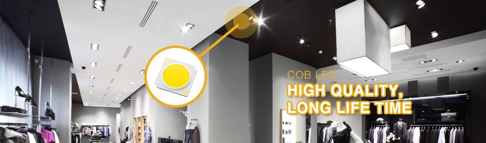 Everlight Americas Inc.